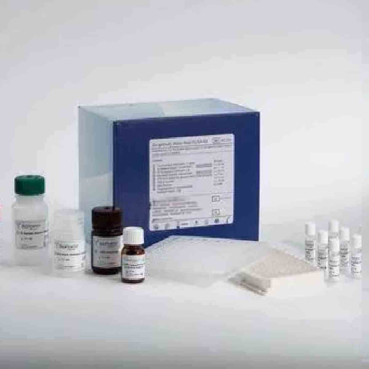 2× Universal Blue SYBR qPCR Master Mix